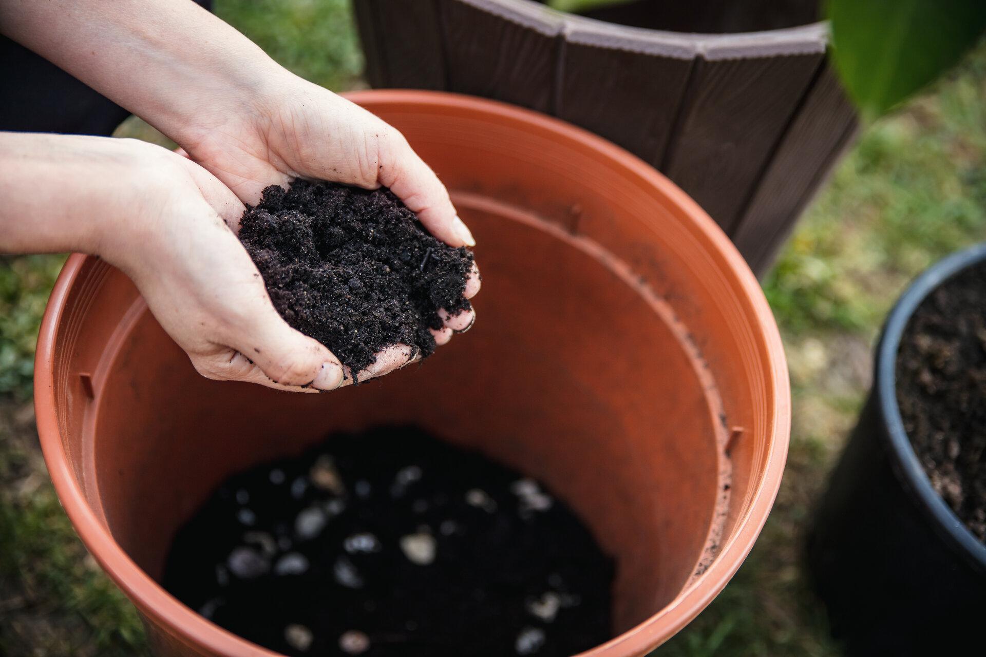 Warum Bio-Blumenerde die beste Erde für Ihren Garten ist.